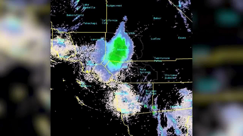 80-mile-wide swarm of ladybugs shows up on National Weather Service ...