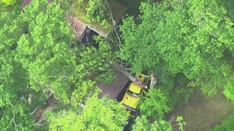 Huge tree crashes onto Middleton home - Boston News, Weather, Sports ...