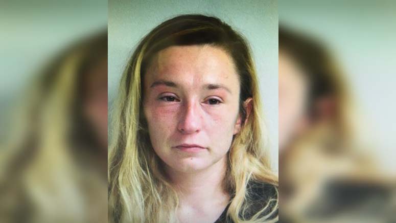 NH woman facing DUI charge after crash that killed 1, seriously injured ...
