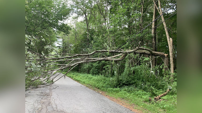 Cleanup underway after tree takes down power lines in Spencer - Boston ...