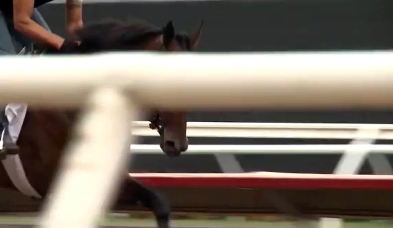 ‘Game changer’: Officials praise horse racing safety bill - Boston News ...