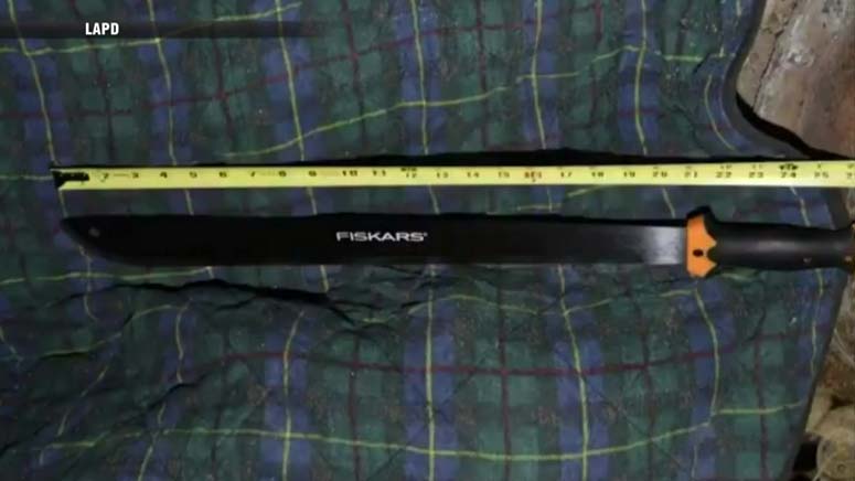 Los Angeles PD bodycam footage shows cruiser ram into suspect carrying ...