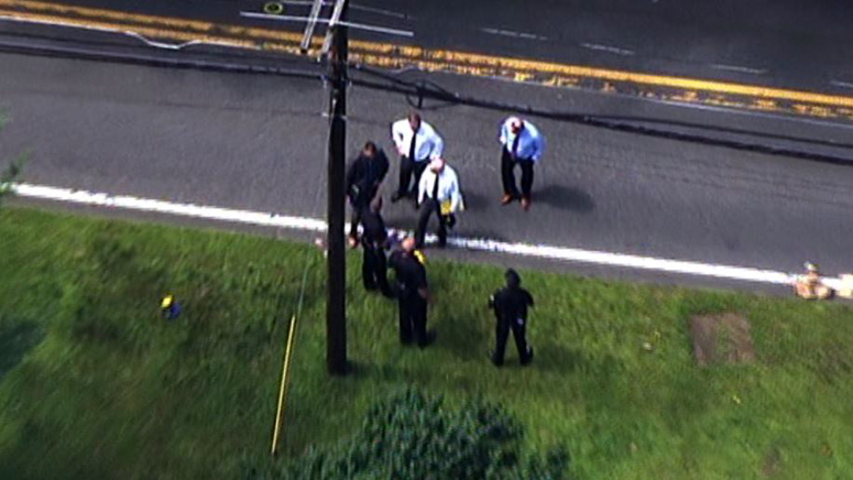 Authorities identify driver arrested in deadly Sutton hit-and-run ...