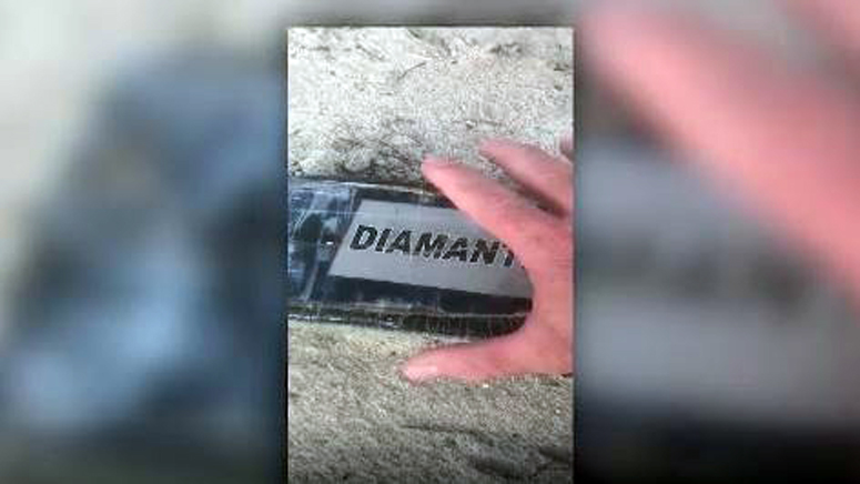 Several bricks of cocaine wash up on Florida beaches as Hurricane ...