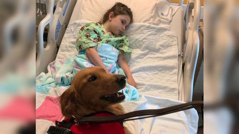 5-year-old Sudbury girl who contracted EEE moved out of ICU, continues ...