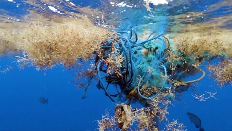 Scientists gather to study risk from microplastic pollution - Boston ...
