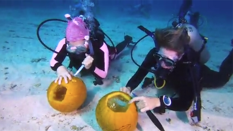 Scuba divers compete in underwater pumpkin carving contest - Boston ...