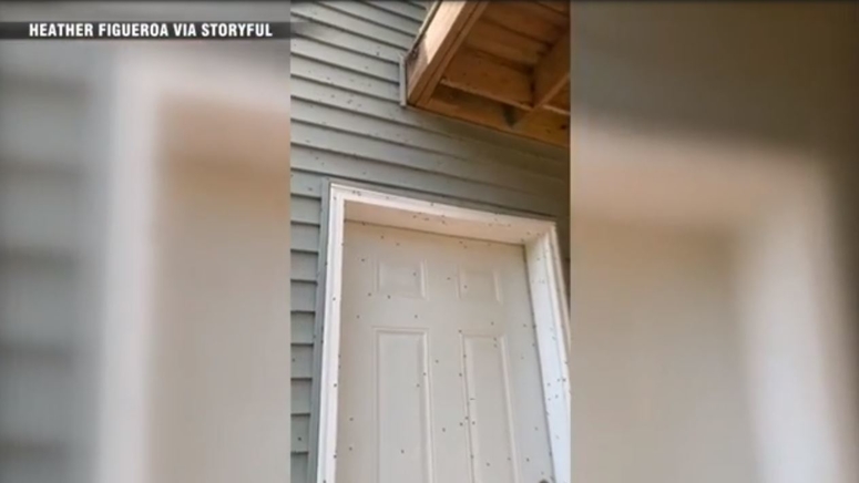 ‘Attack of the ladybugs’: NH woman bugs out as hundreds of insects ...