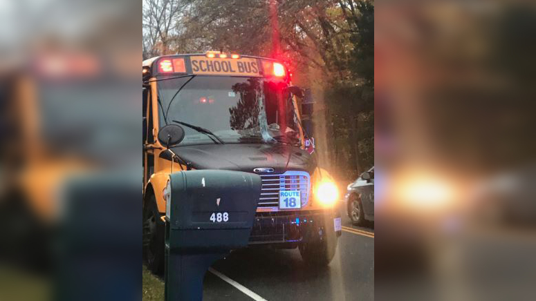 ‘Hero’ school bus driver hailed for actions after deer crashes through ...