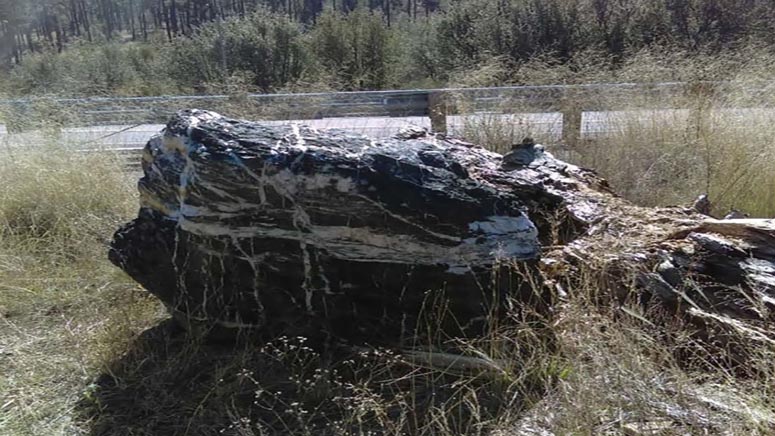 Missing: A boulder weighing 1 ton. The park would like it back, please ...