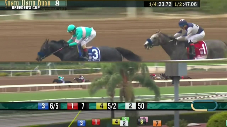 Racing horse named ‘Eight Rings’ after Patriots head coach Bill ...