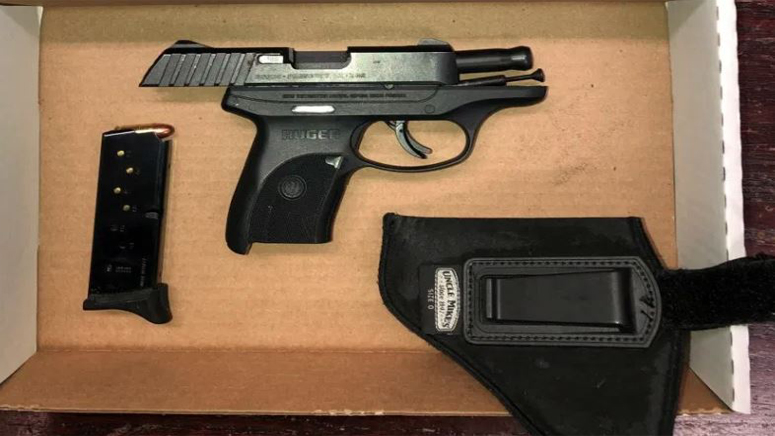 Police: Wanted fugitive arrested after loaded gun found during traffic ...