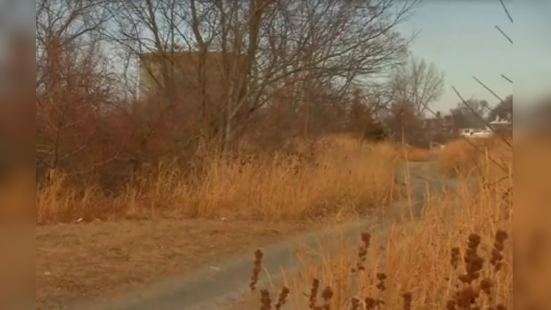 Suspect to be arraigned on murder charge after man found dead in Fall ...