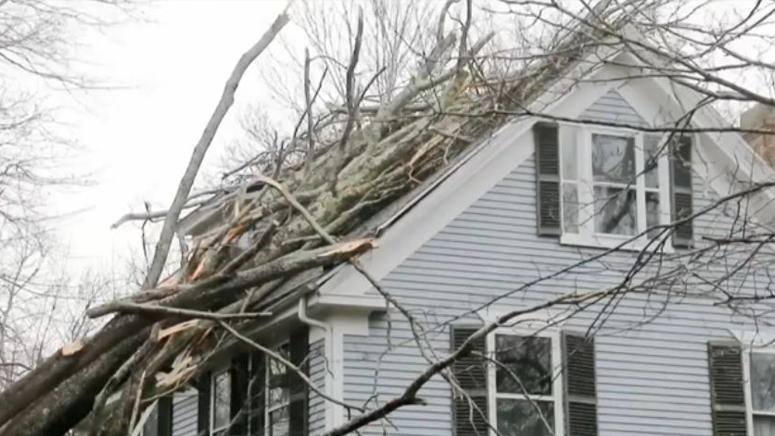 Wind wallops Mass., felling trees and knocking out power to thousands ...