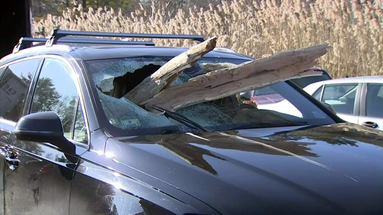 Boxford family lucky to be alive after massive tree branch pierces ...
