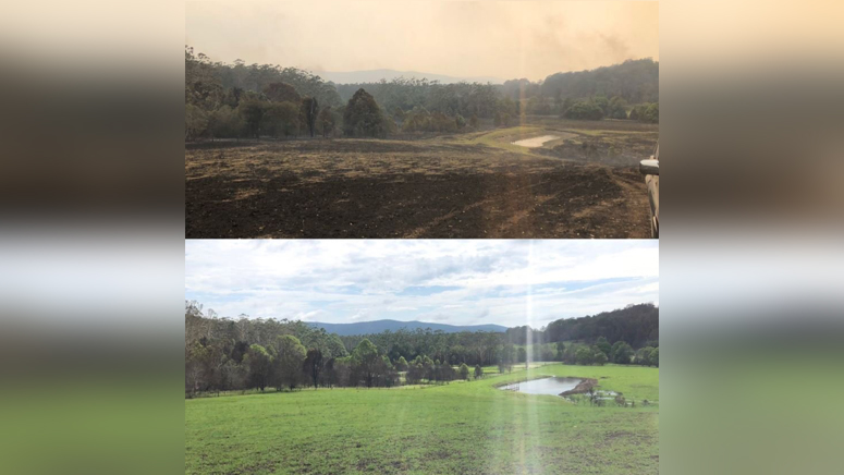 Russell Crowe tweets photos showing how rain has helped his Australia ...