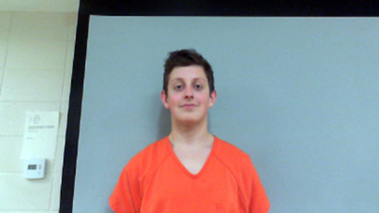 Teen accused of killing mother, twin 13-year-old brothers before going ...