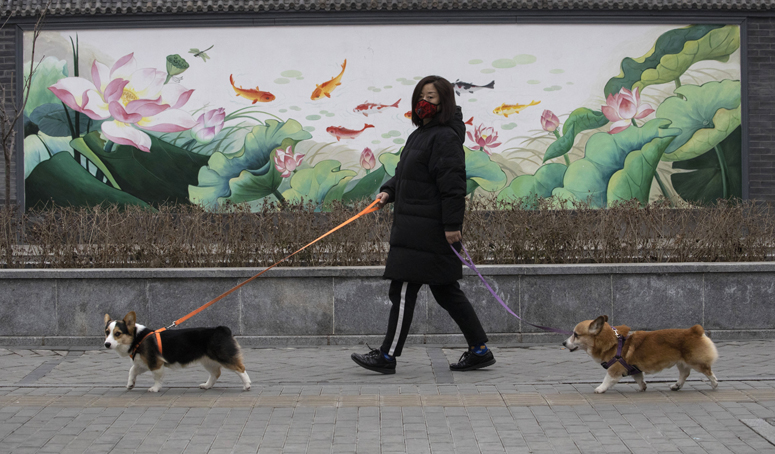Virus-hit Wuhan cautiously revives amid thicket of controls - Boston ...