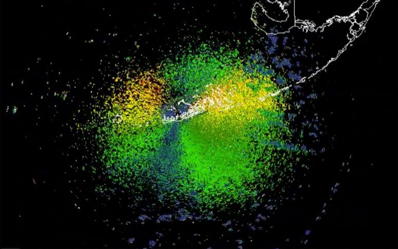 Weather radar captures birds migrating back to their homes - Boston ...