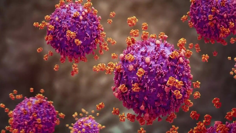 South African scientists detect new virus variant amid spike - Boston ... South African scientists detect new virus variant amid spike - Boston ...
