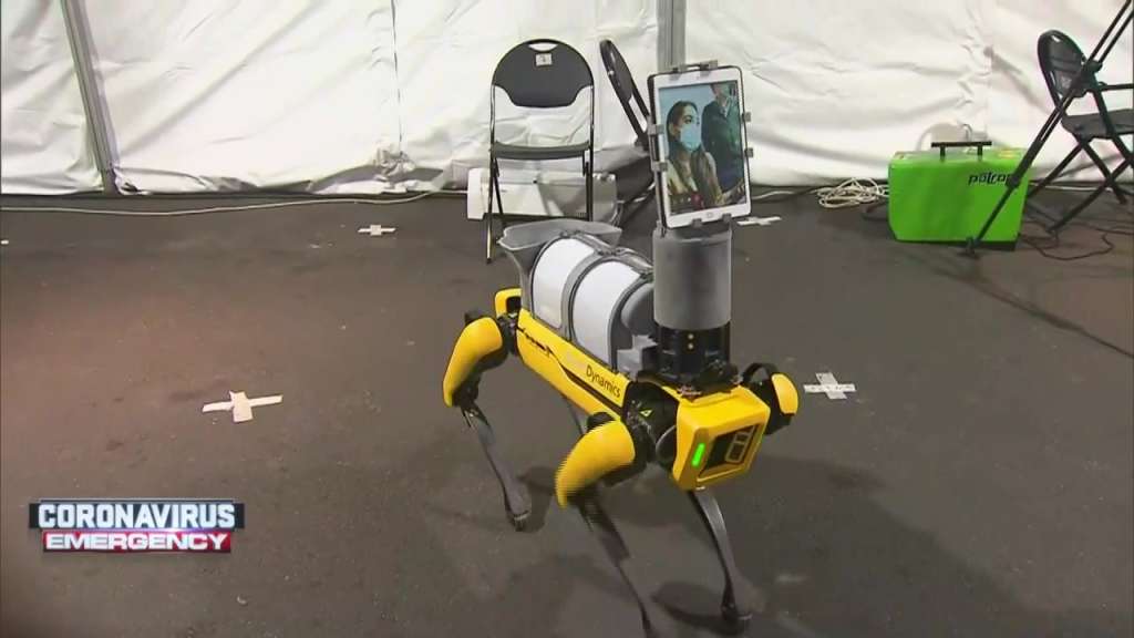 Robotic dog helping Brigham and Women’s medical workers safely talk to ...