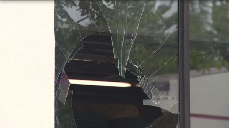 Deer crashes through shop window in Arlington - Boston News, Weather ...