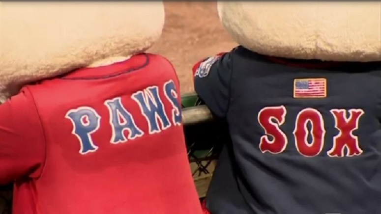 PawSox to host virtual yard sale this weekend - Boston News, Weather ...