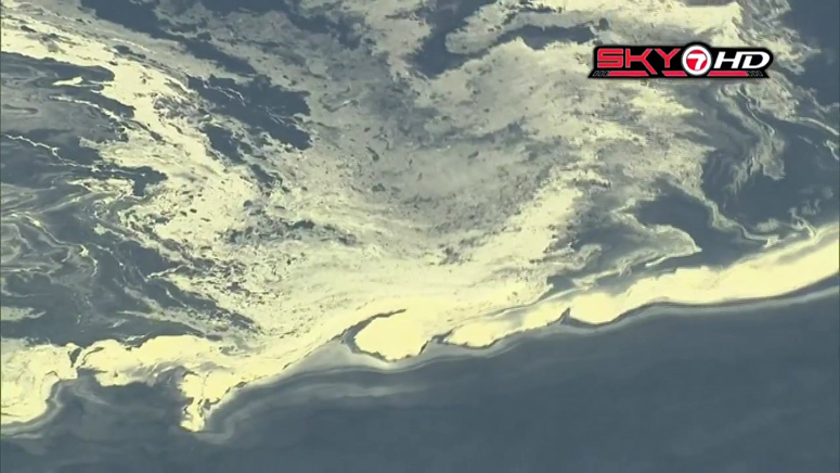 Aerial footage in Mass. shows clouds of pollen bursting from trees ...