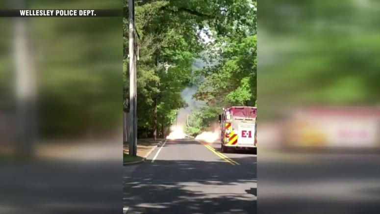 Power knocked out in Wellesley neighborhood after fallen tree sparks ...