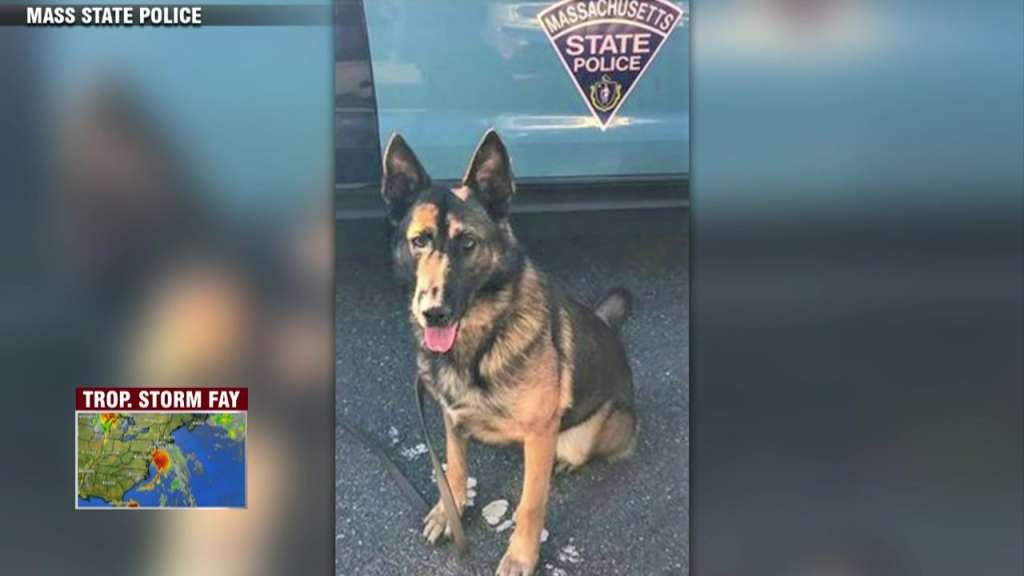 Massachusetts State Police K-9 unit responded to 70 missions over past ...