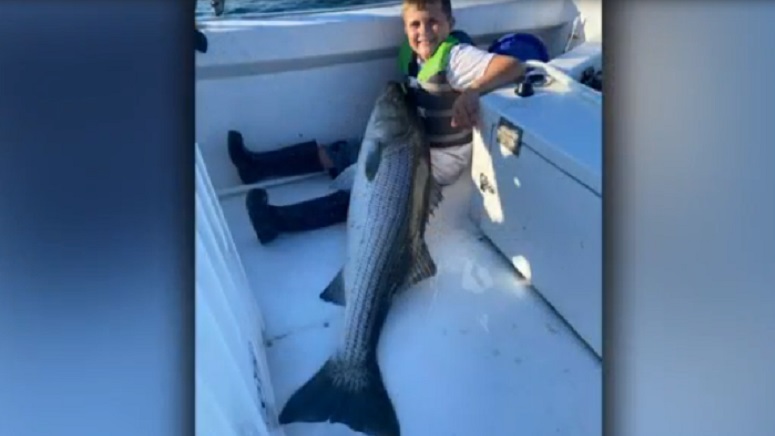 7-year-old catches 53-pound striped bass - Boston News, Weather, Sports ...