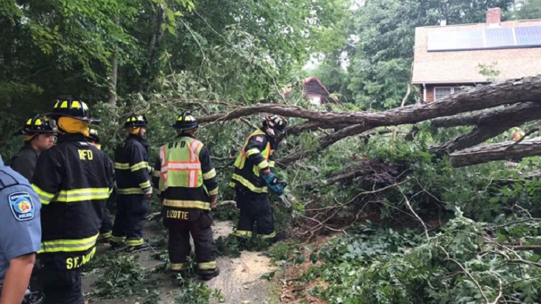 Tree knocked down by heavy winds traps man in Rehoboth, storm leaves ...