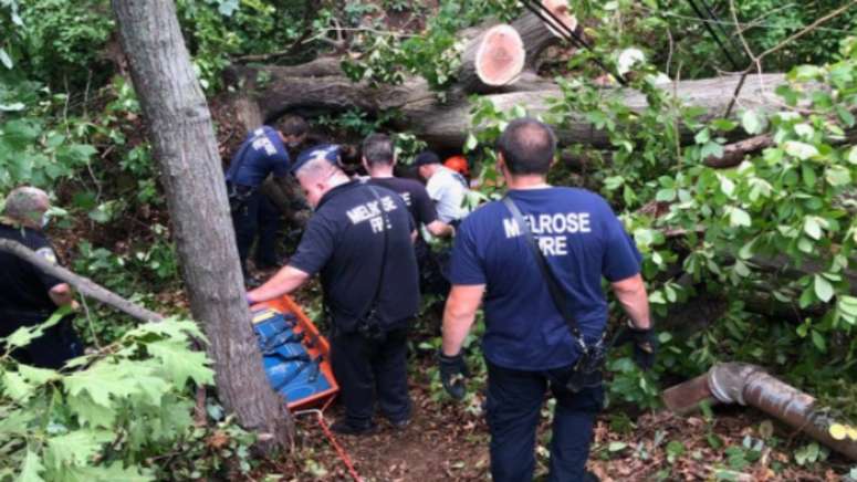 Man rescued from ravine after being hit by tree branch at Melrose golf ...