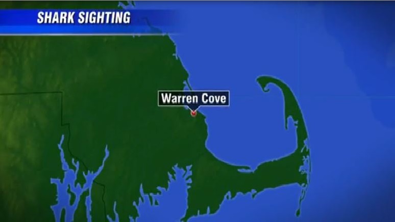 Harbormaster investigating suspected shark sightings off Plymouth ...