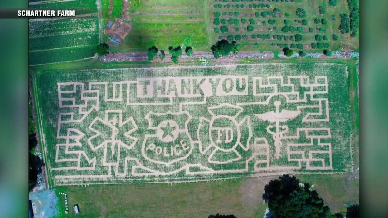 Local – Boston News, Weather, Sports | WHDH 7News