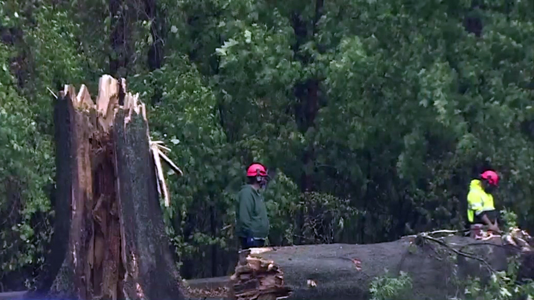 Mass. schools adjust after high winds down trees, branches and knock out power to thousands ...