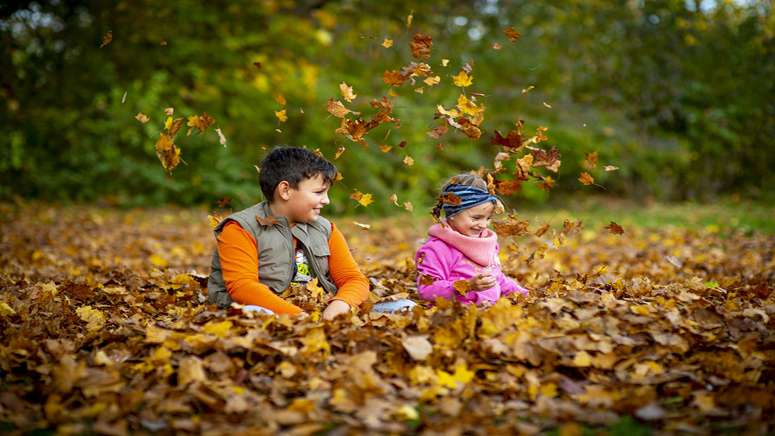 Making the Grade: Fun, fall-themed activities to blow off steam with ...