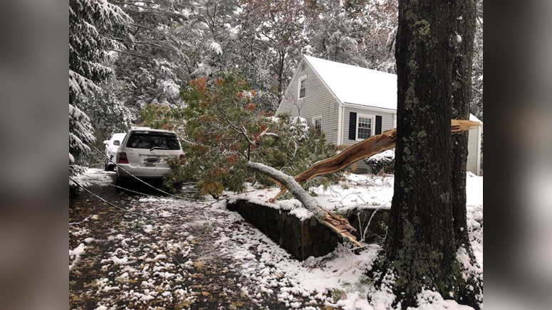 Early bout of winter weather downs trees, knocks power out to several ...