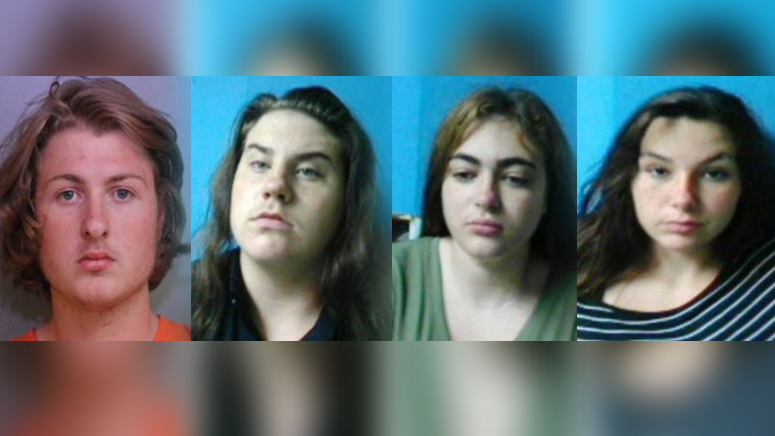 Police: 4 teens attacked boy, ran his mom over with van to settle ...