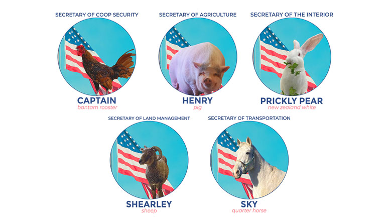 MSPCA’s newly confirmed ‘Animal Cabinet’ all up for adoption - Boston ...