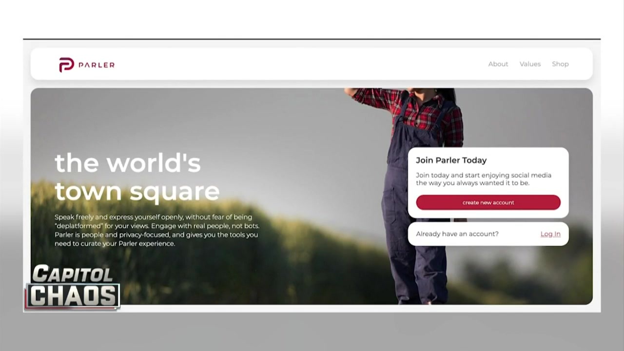 Parler’s website is back online with a brief message to ‘lovers and ...