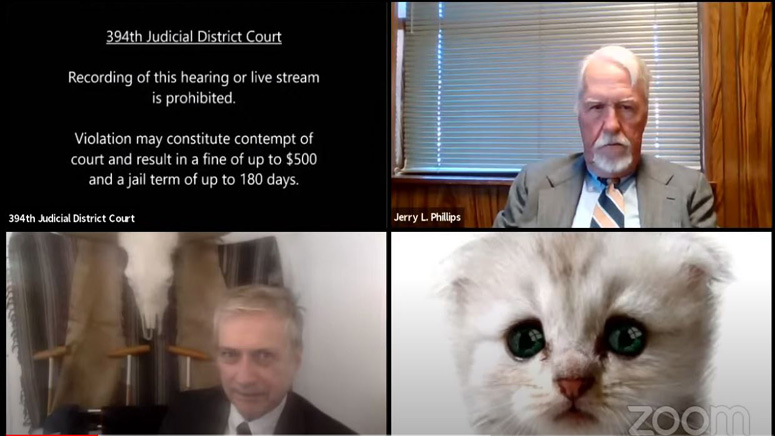 Attorney-at-paw? Filter makes lawyer look like cat in court - Boston ...