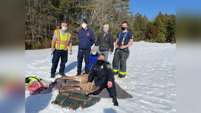 Firefighters rescue deer that fell through ice at Boxford reservoir ... Firefighters rescue deer that fell through ice at Boxford reservoir ...