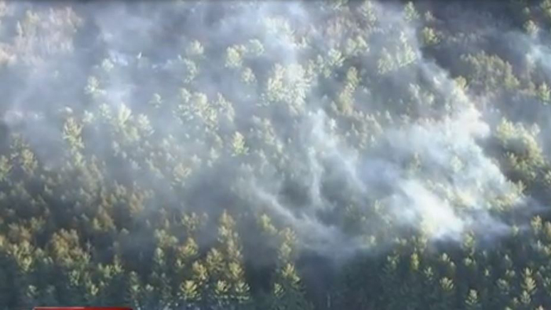 Firefighters battle brush fire in Middleton - Boston News, Weather ...