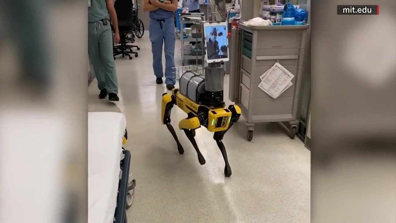 Emergency room patients at Brigham and Women’s Hospital visited by dog ...