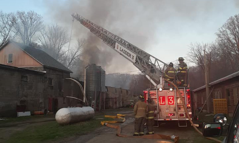 Fire at poultry farm leaves 3,000 chickens dead - Boston News, Weather ...