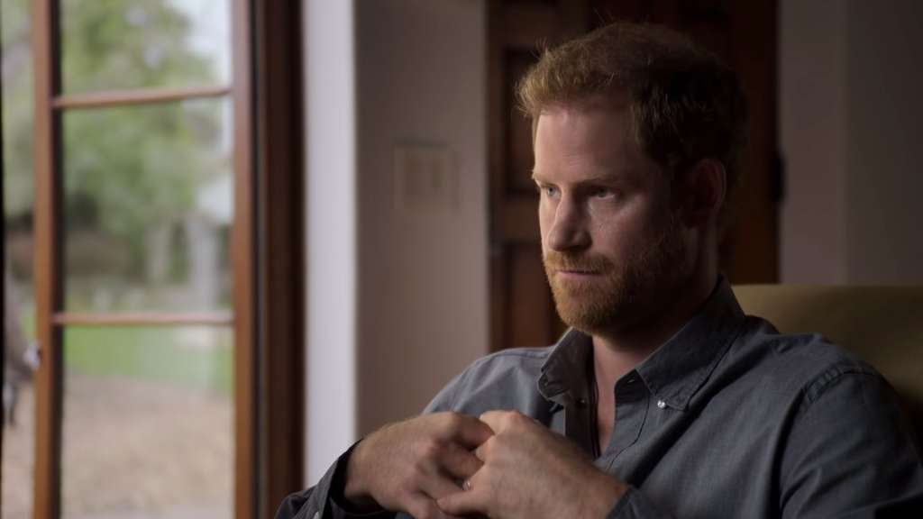 prince harry beard interview