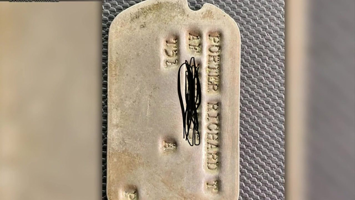 ‘It means so much’: Lost dog tag returned to family after being pulled ...