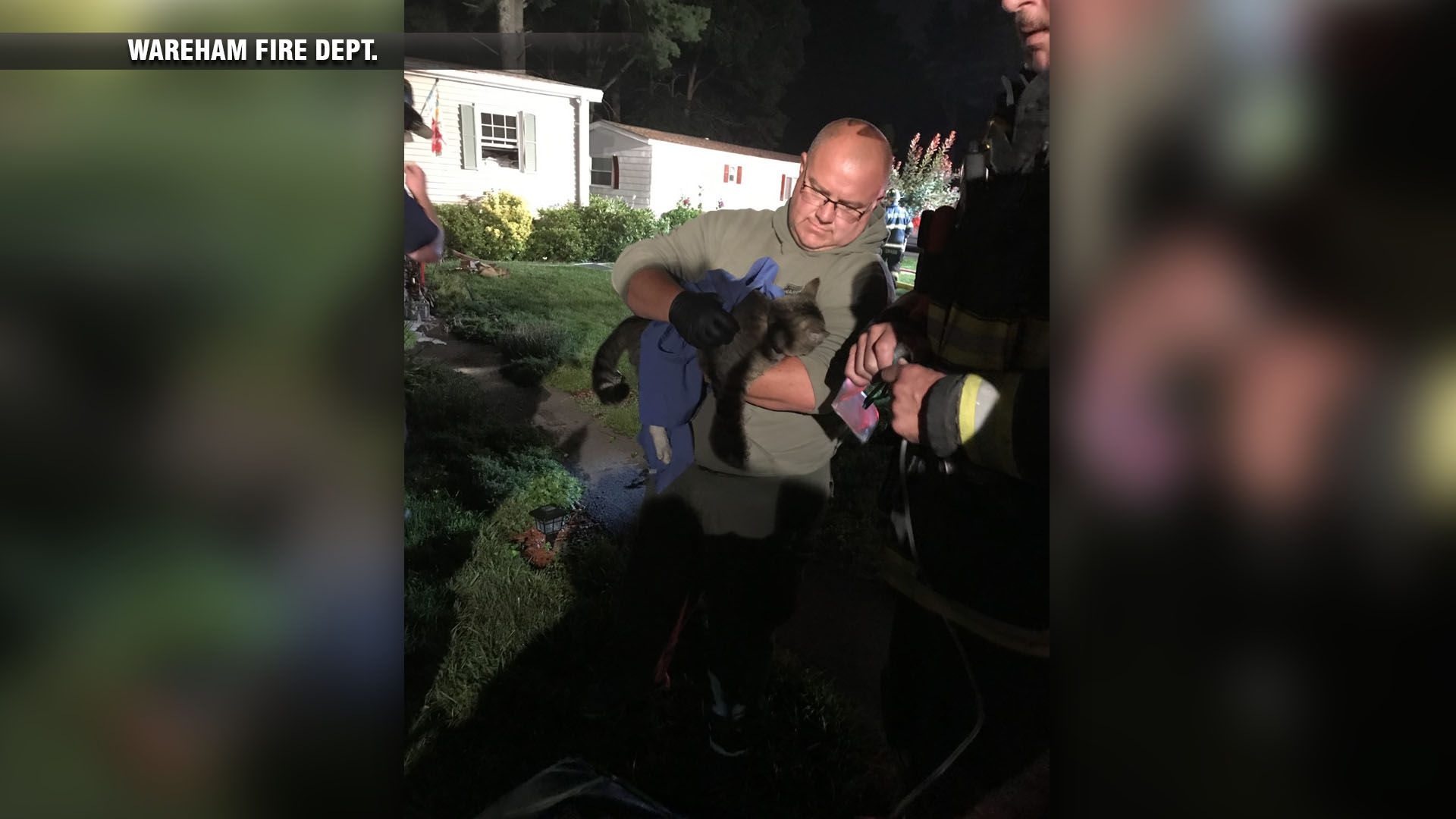 One cat dies, another rescued during Wareham house fire - Boston News ...