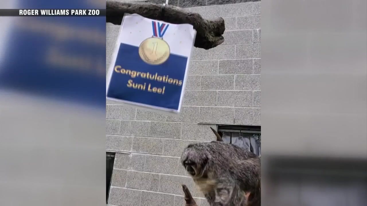 Monkey at RI zoo congratulates US gymnast for winning gold at Olympics ...